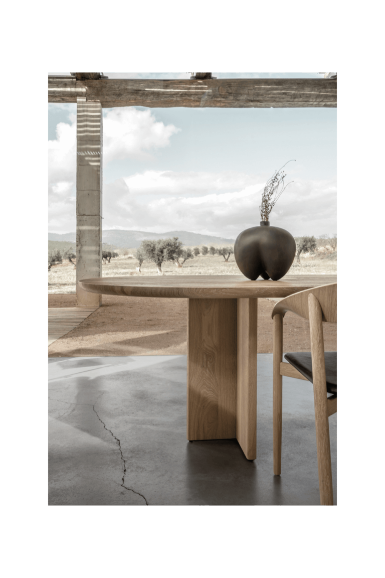 JANUA – T-Rox Series No.1