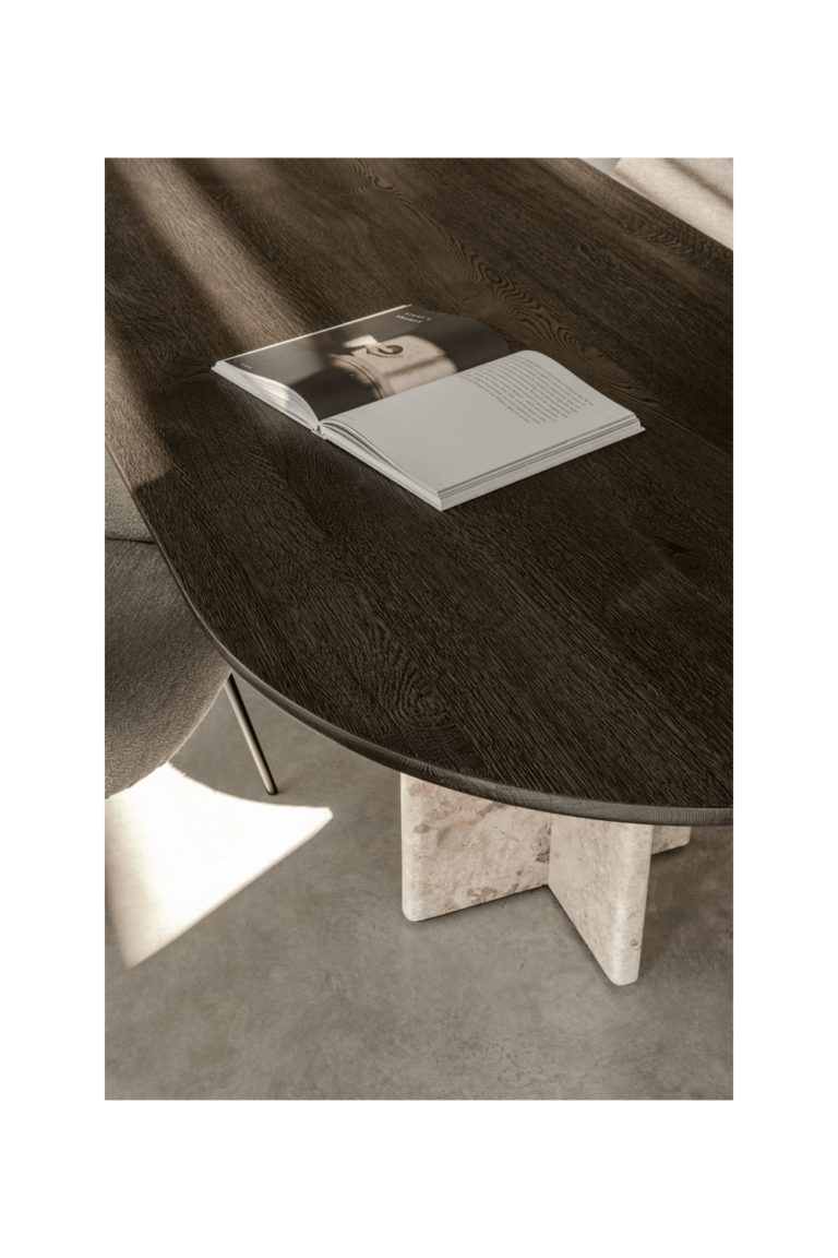 JANUA – T-Rox Series No.1